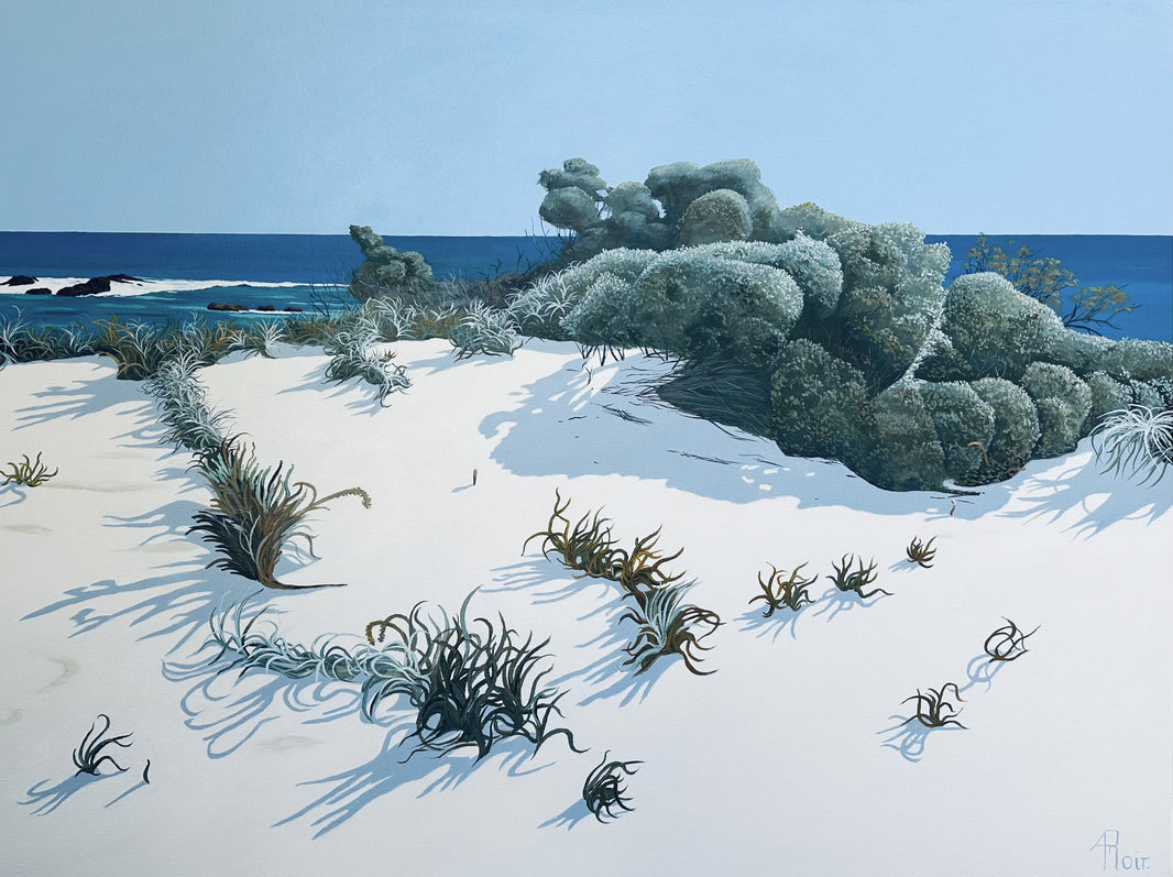 Peter Moir – Yallingup Galleries