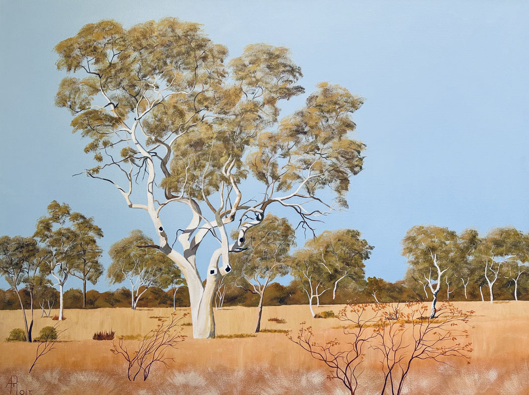 Peter Moir – Yallingup Galleries