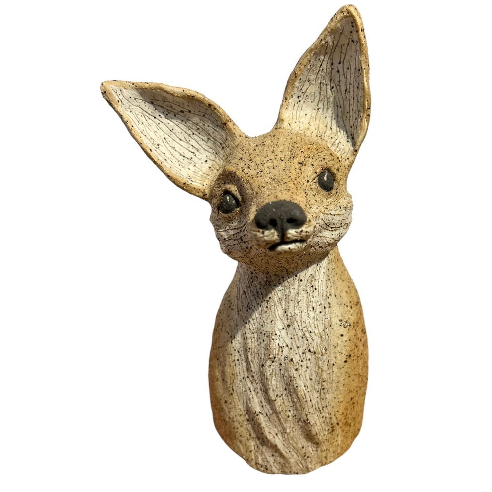 Pearl Fox – Yallingup Galleries