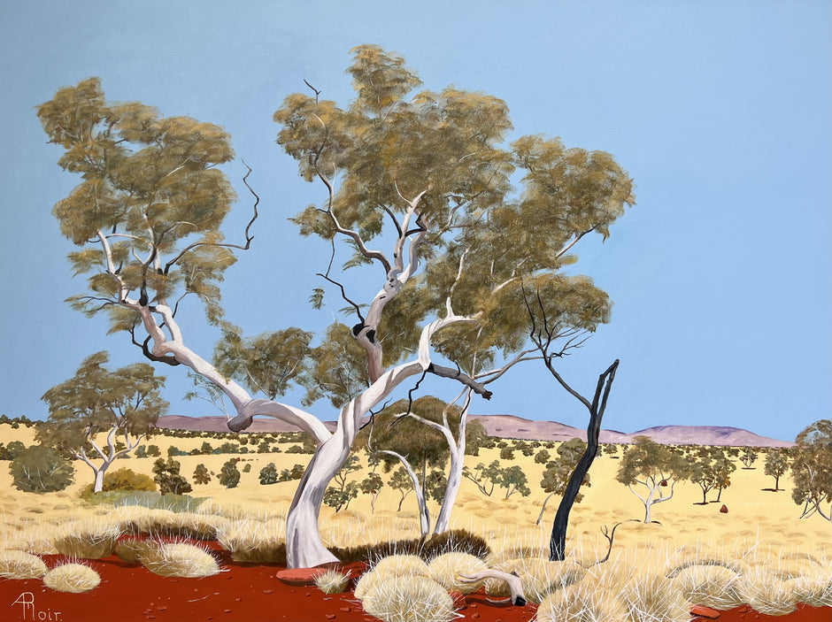 Peter Moir – Yallingup Galleries